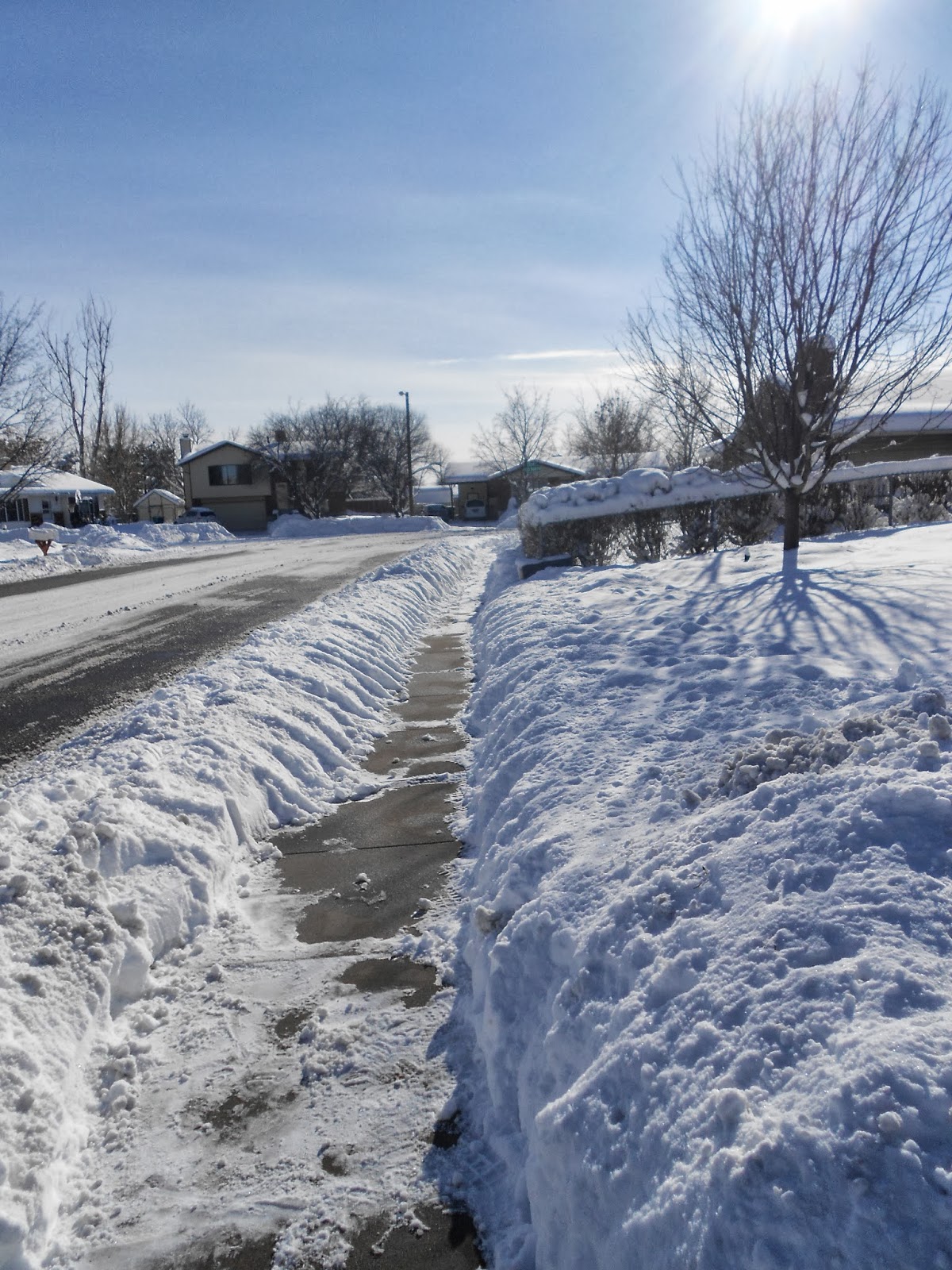 The Mystery Of Utah History: 2013