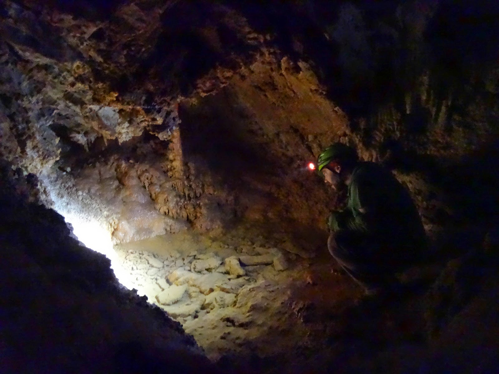 Cave of The Bells: The Trip When No One Was Bitten By A Skunk - First ...