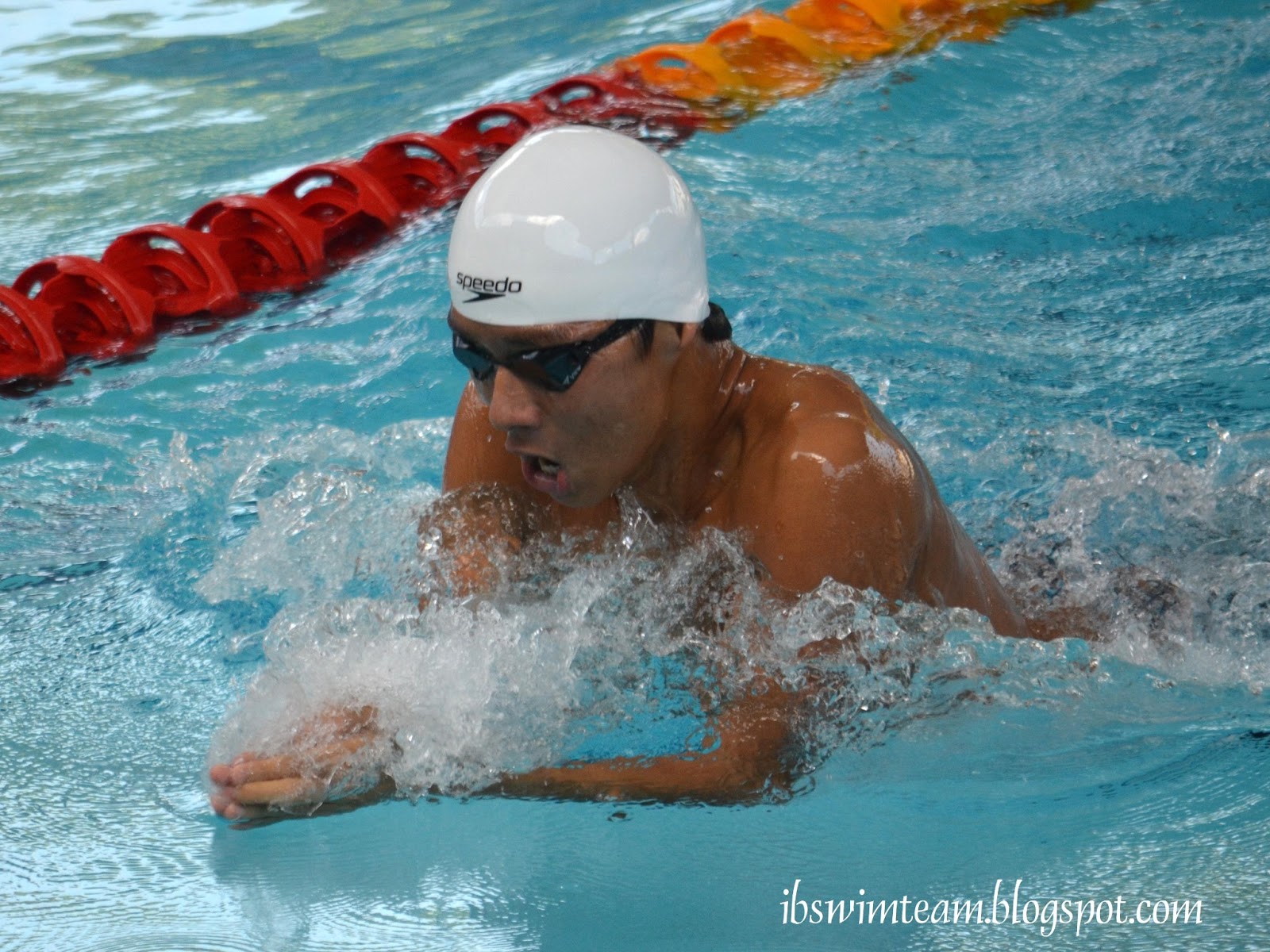 Ikan Bilis Swimming Club (1971) KL: IBSC swimmers excelled in MSSS 2013 ...