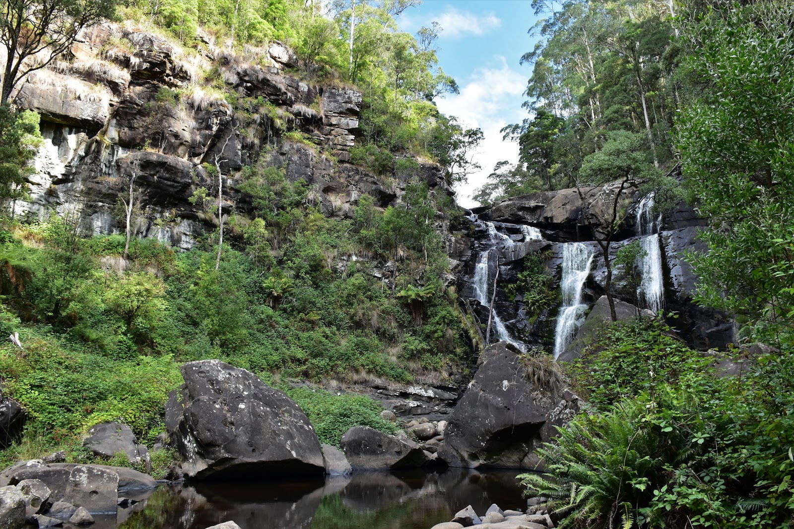 Goin' Feral One Day At A Time: Stevensons Falls Circuit, Otway Forest ...