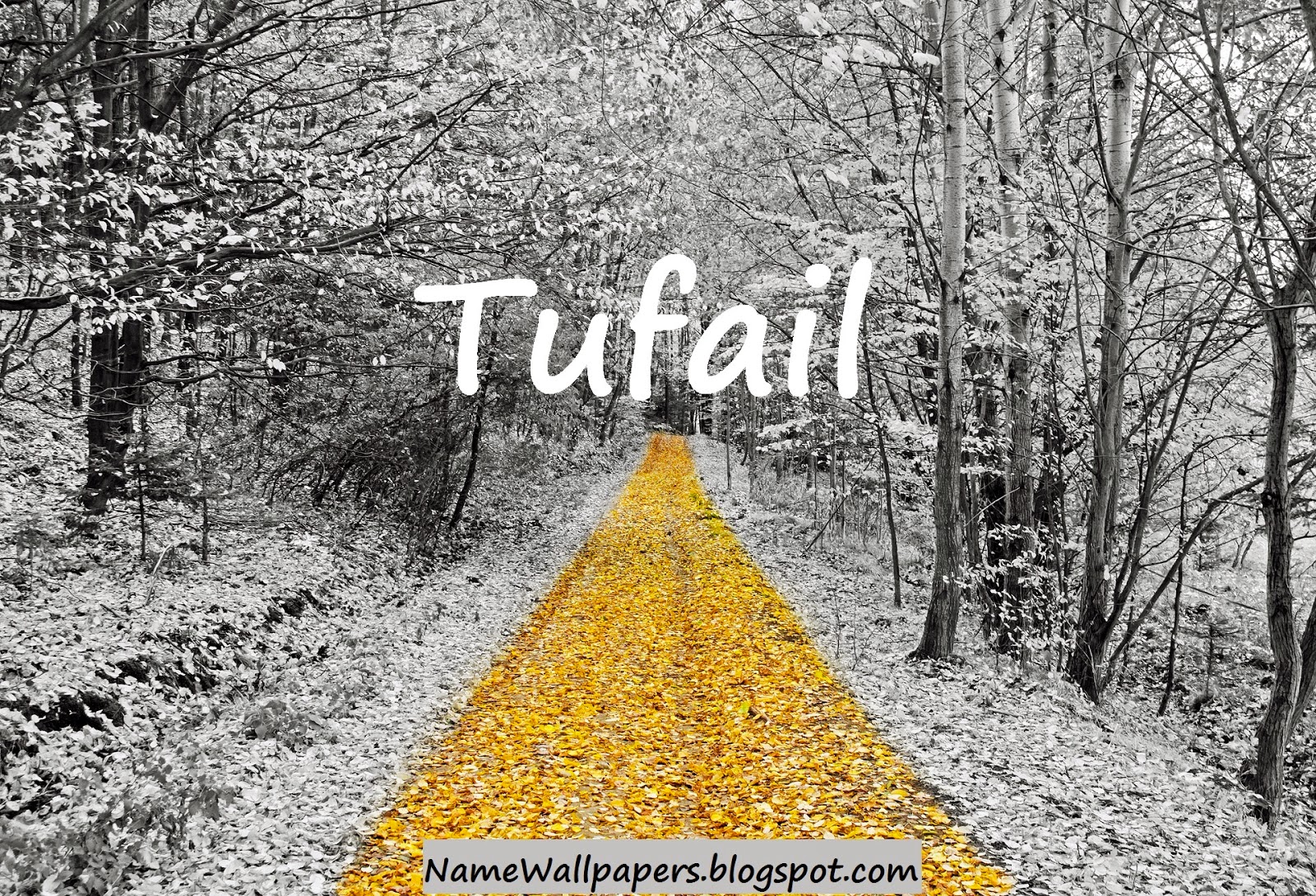 Tufail Name Wallpapers Tufail ~ Name Wallpaper Urdu Name Meaning Name ...