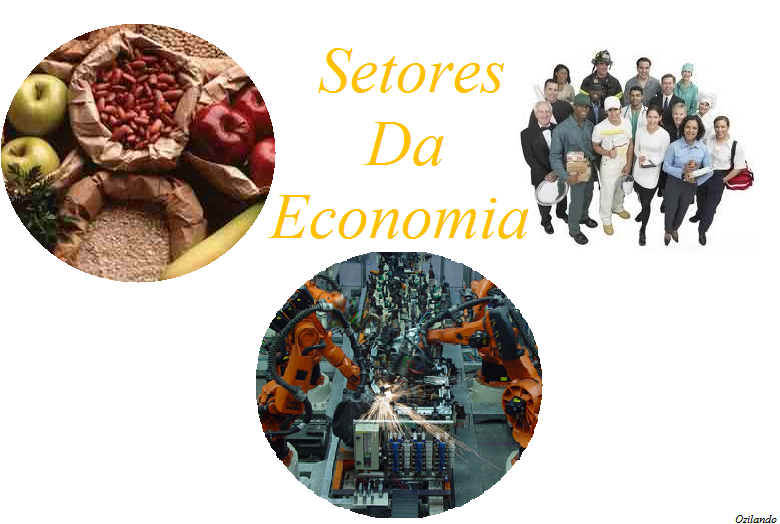 Geografia Total: Setores da Economia