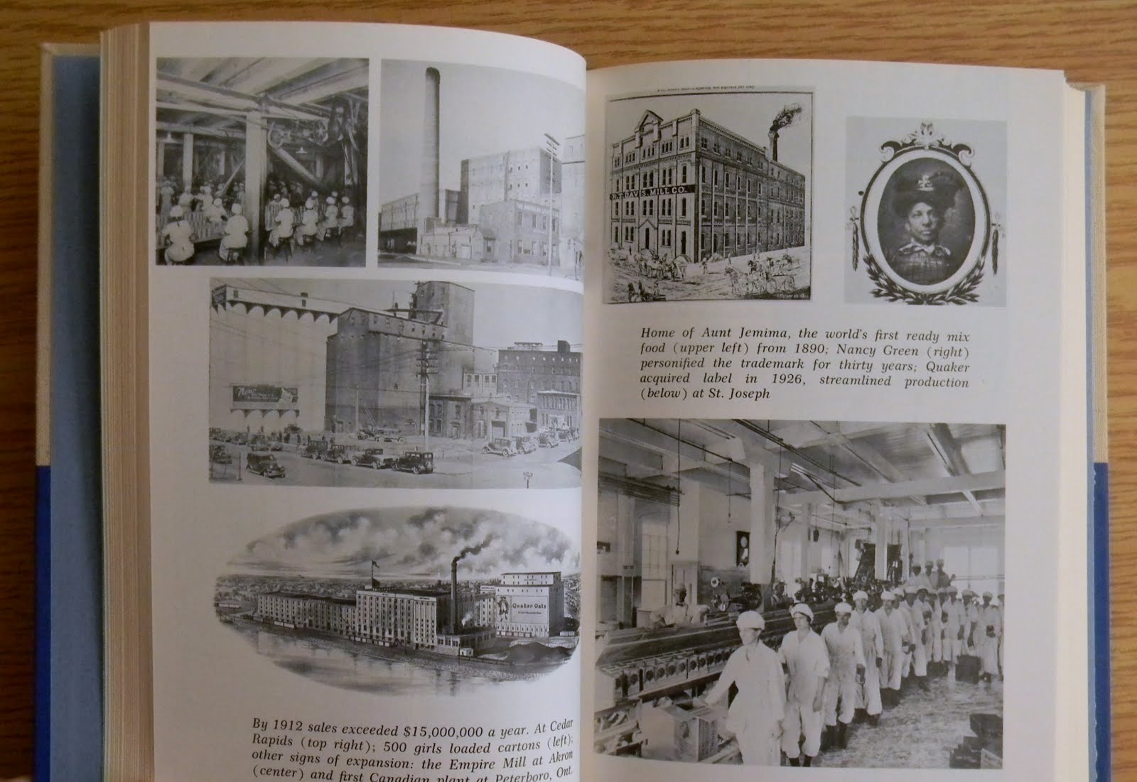 Business Book Eagle: Book Review: Brands, Trademarks and Good Will: The ...