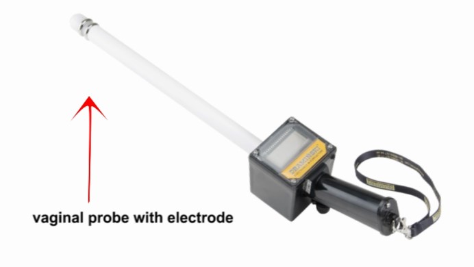 Estrous detector for sheep, goat, cattle, camel - LivestockTrend