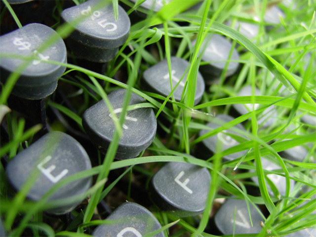 Create A Little Grass Lawn In Keyboard - Just Amazing Things