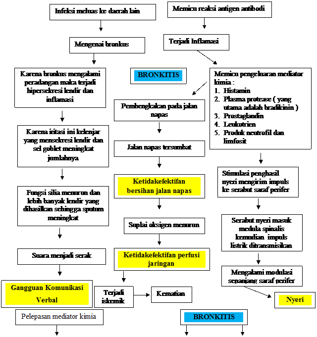 Ners Indonesia: Bronkitis