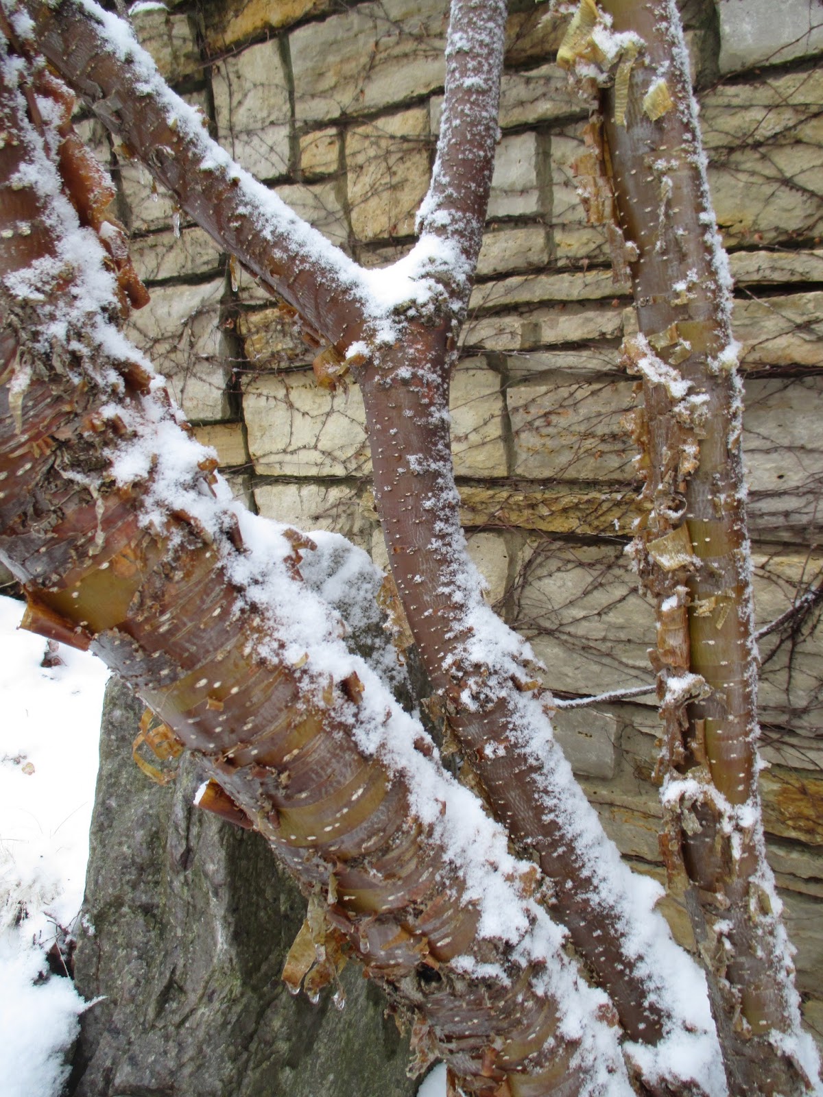 Rotary Botanical Gardens - Hort Blog: Mother Nature's Gentle Reminder