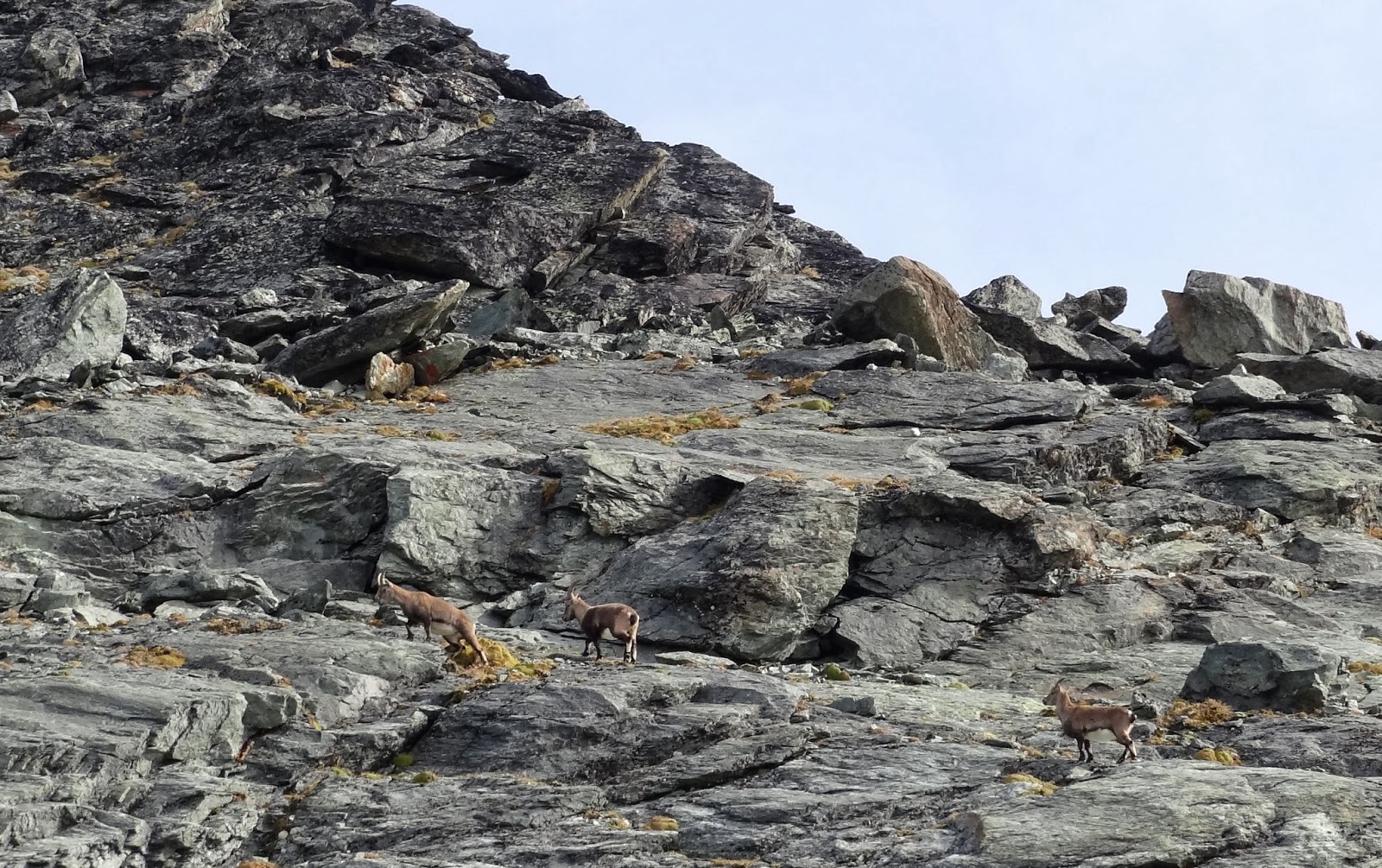 hewa: Col du Pigne oberhalb der Cabane de Moiry