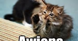 Irons in the Fire: 'Meteor', right.