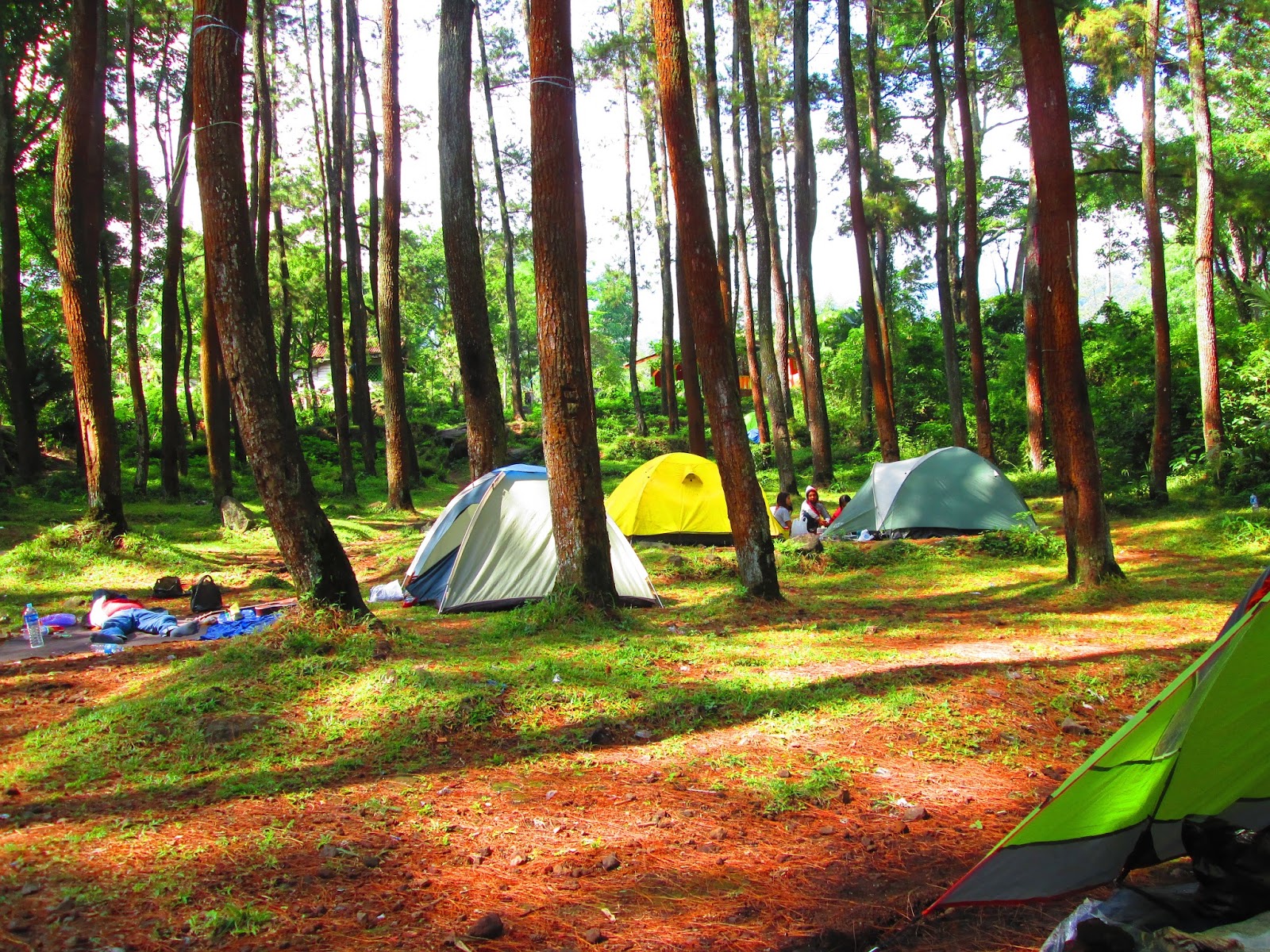 Petualangan Ali Topan: Kemping Di Bumi Perkemahan Kakek Bodo
