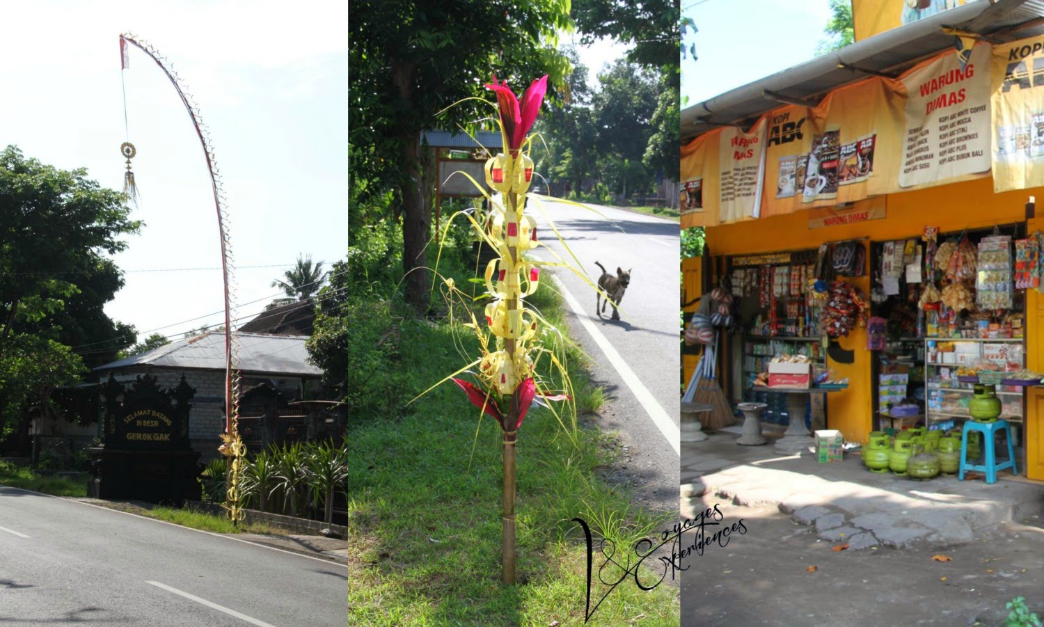 Voyages et Expériences : Bali: de Pemuteran à Sanur VIA PUPUAN, Sublime!