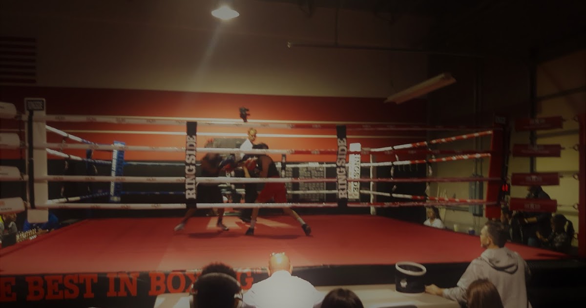 Utah MMA and Boxing : MMA fighter David Castillo retires, updates in ...