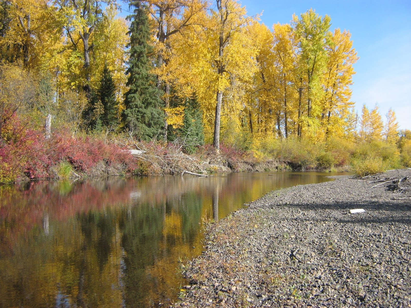 Northern Interior British Columbia: Fall Bulkley River Houston British ...