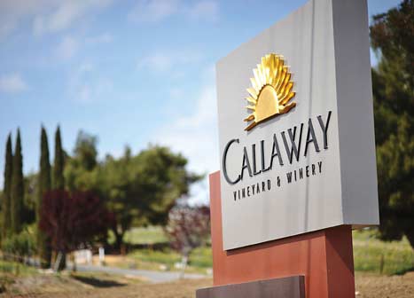 Simply Suzanne's AT HOME: dining in a vineyard