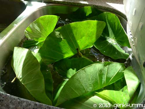 Genki Tummy: Lau Lau