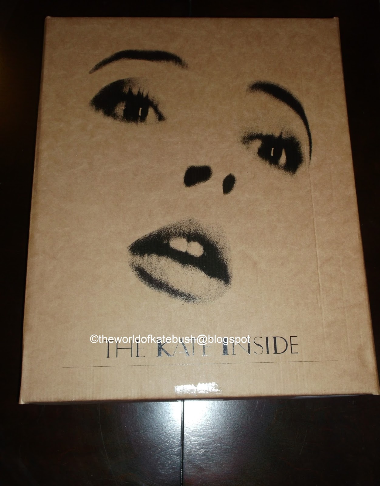 THE WORLD OF KATE BUSH: The Kate Inside: Collector Edition Book by ...