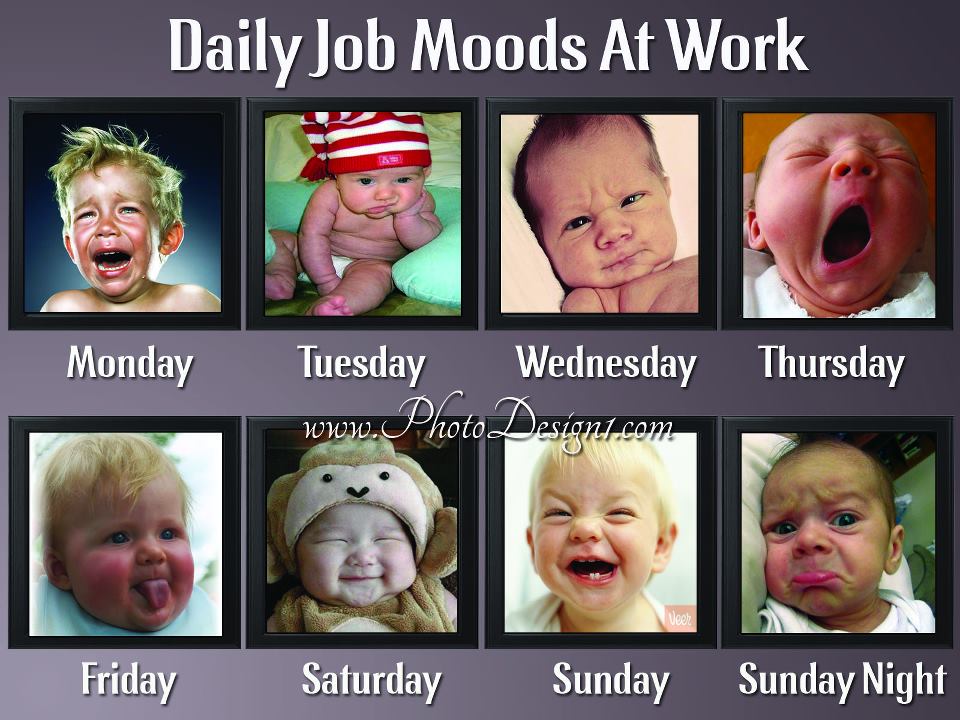 Daily Job Moods At Work
