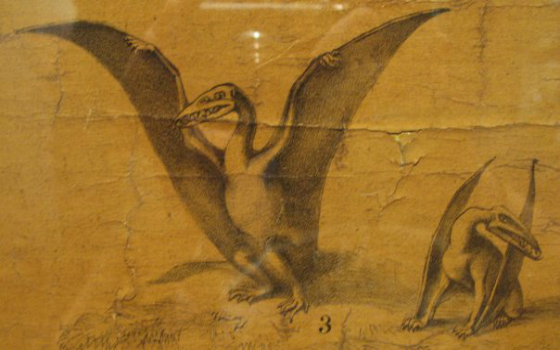 Phantoms and Monsters - Real Eyewitness Cryptid Encounter Reports