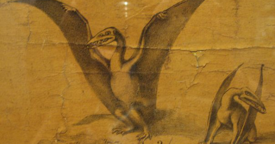 Phantoms and Monsters - Real Cryptid Encounter Reports - Fortean Researcher Lon Strickler