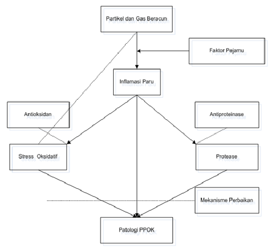 antometa208: Patogenesis Penyakit Paru Obstruktif Kronik (PPOK)