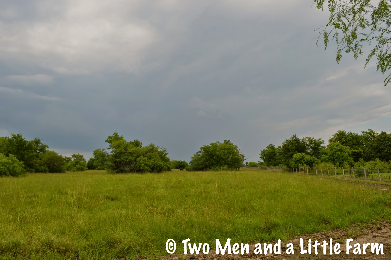 Two Men and a Little Farm: RANDOM FARM PROPERTY PICTURES