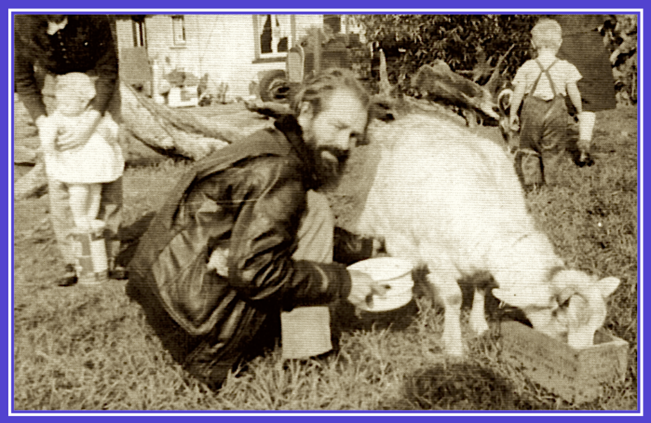 The Great Cosmic Story