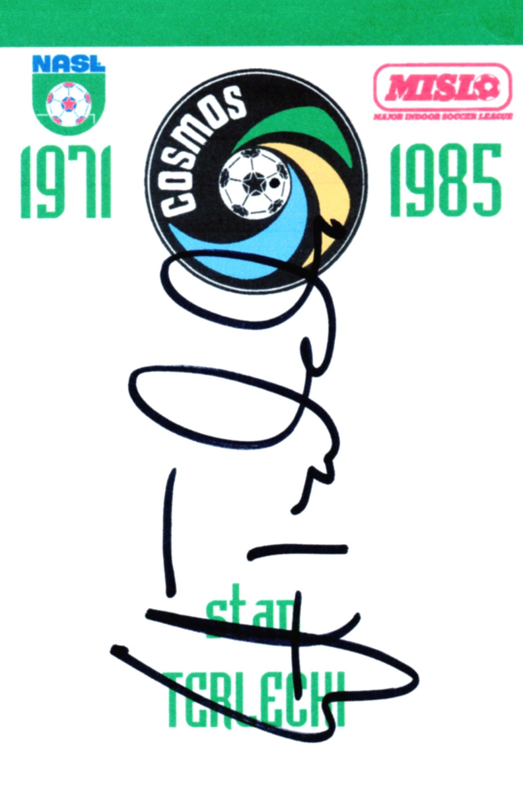 NORTH AMERICAN SOCCER LEAGUE: New York Cosmos