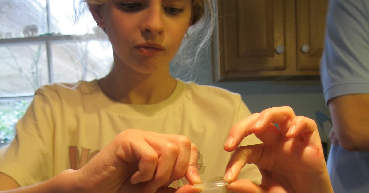 Montessori Messy: A Science Fair Project Using Stuff You Already Have ...