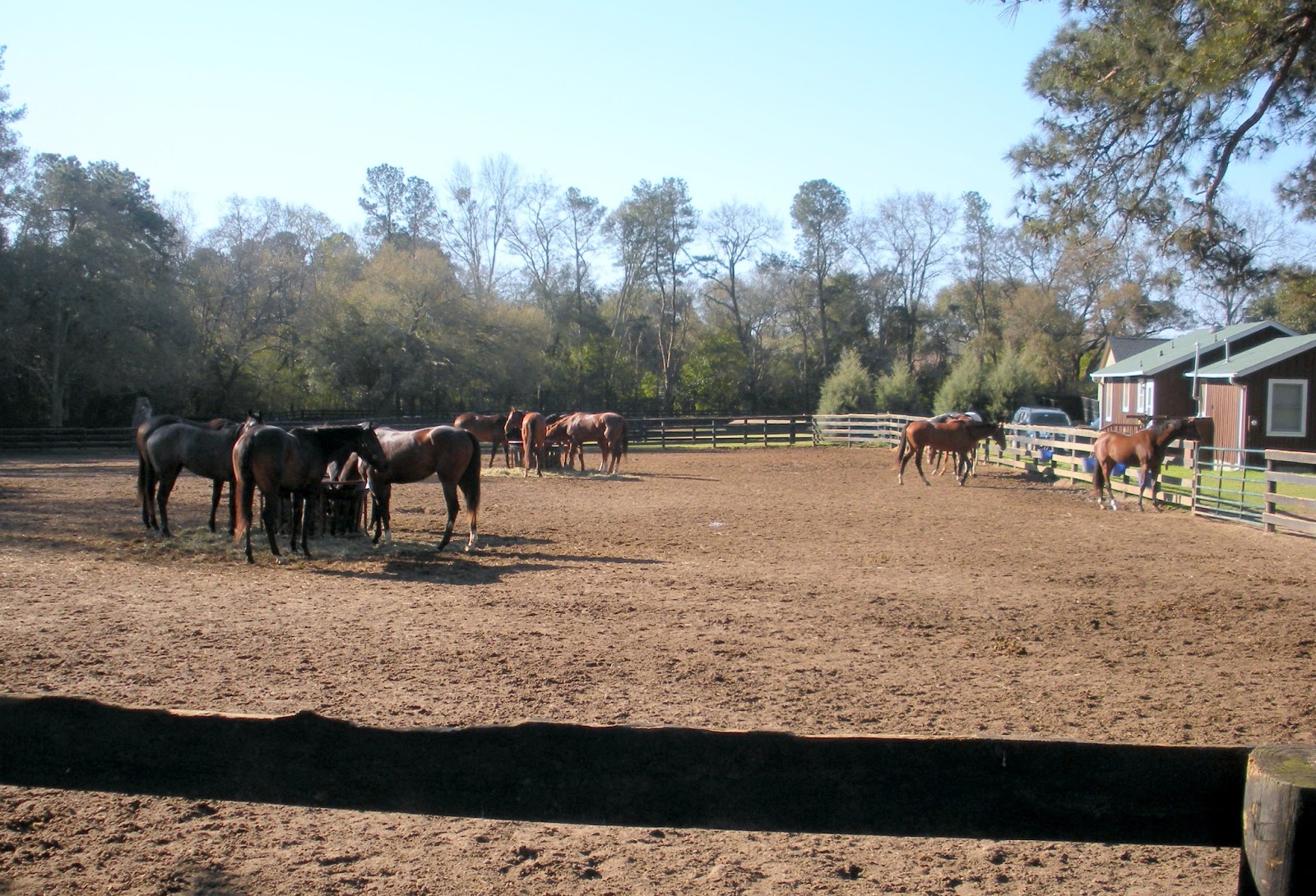 SASSCER HILL: Racing from Death and Celebrating Life