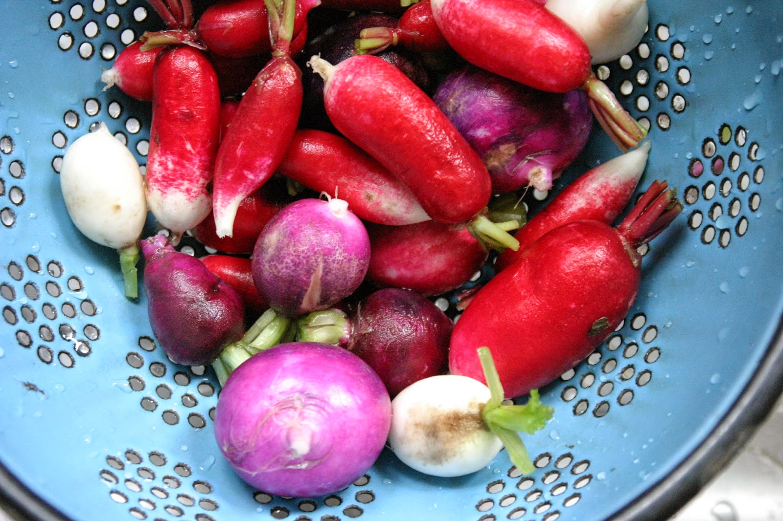 Warm Honey Citrus Roasted Radish Salad