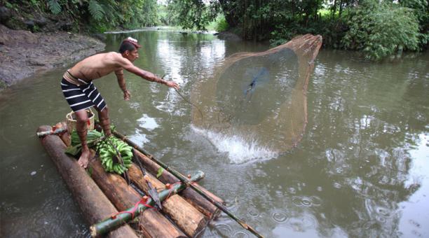 TURISMO EN LA PROVINCIA DE LOS TSÁCHILAS : ECONOMÍA