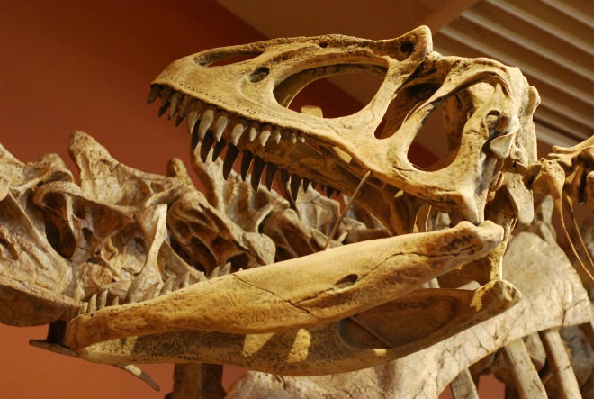 Animales prehistóricos: EPANTERIAS AMPLEXUS.