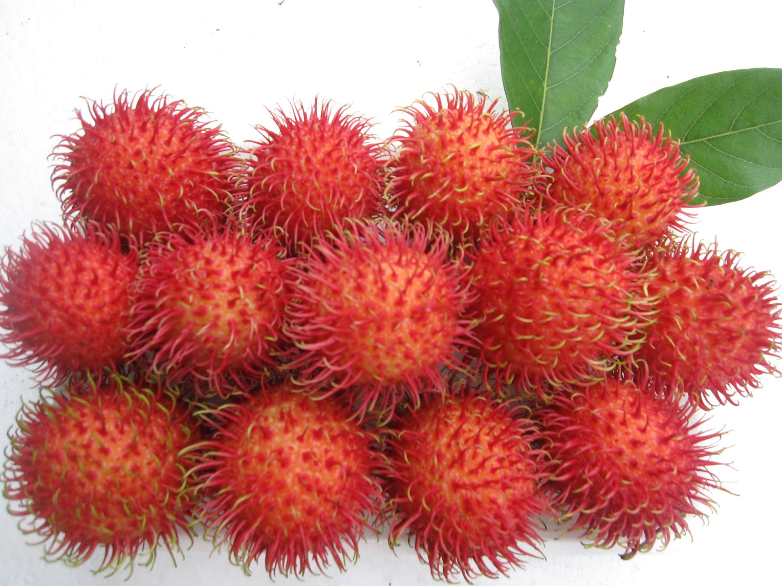 RAMBUTAN | Jumbo Of Fruit