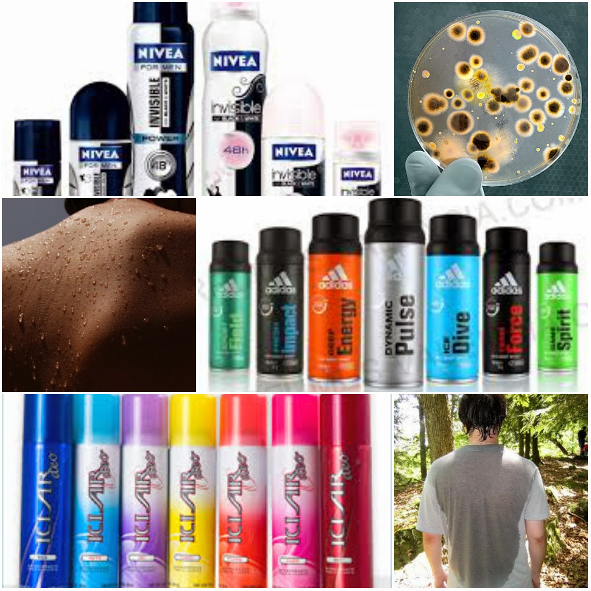 TPE: Les déodorants: febrero 2014