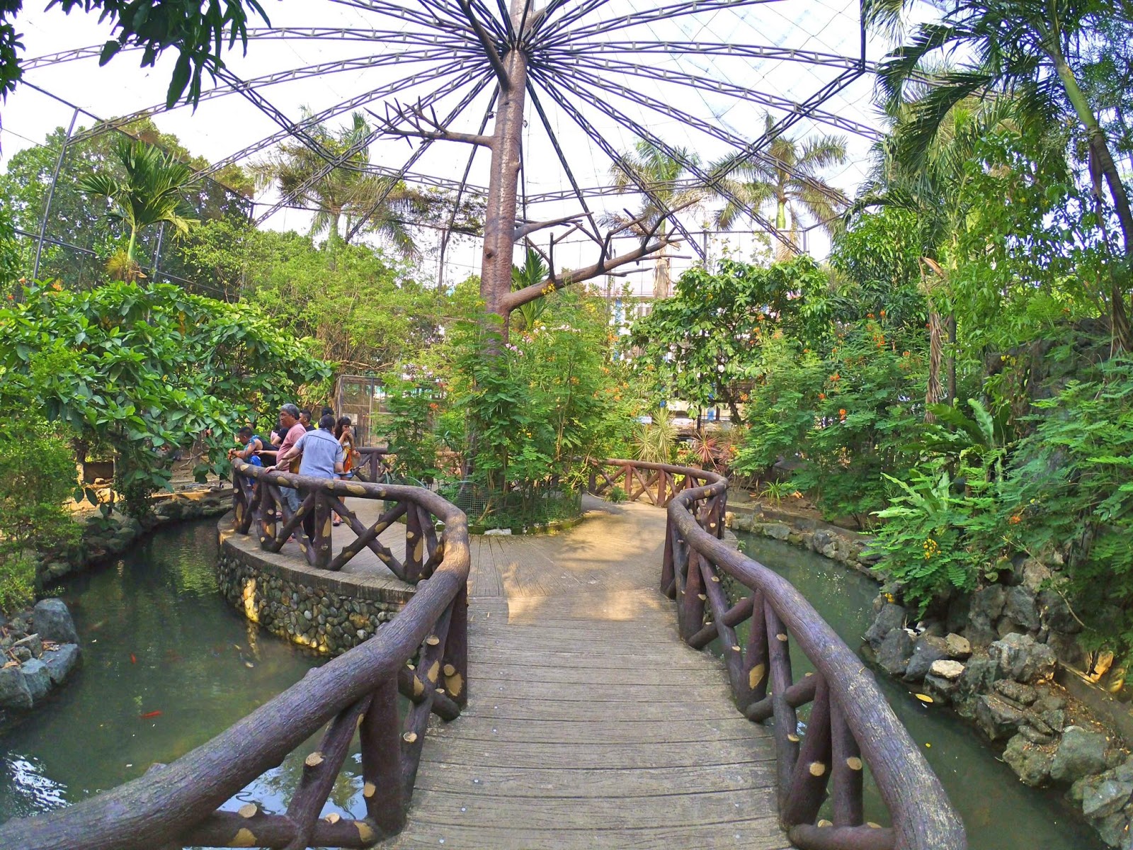 PASIG: Rainforest Adventure Experience (RAVE)