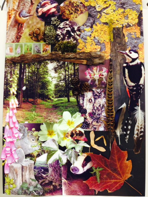 Inspired by Nature: Moodboard