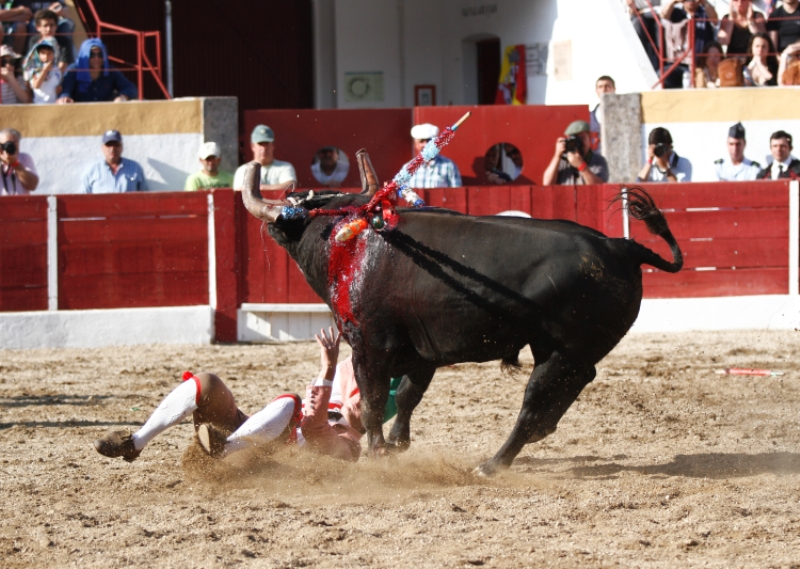 Diário Taurino: Alter: As fotos dos forcados