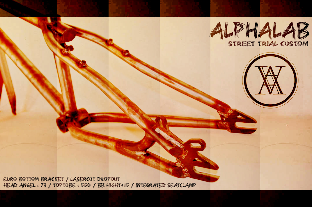 Alphalab Street Trial Custom frame | The Yellow Bike Company