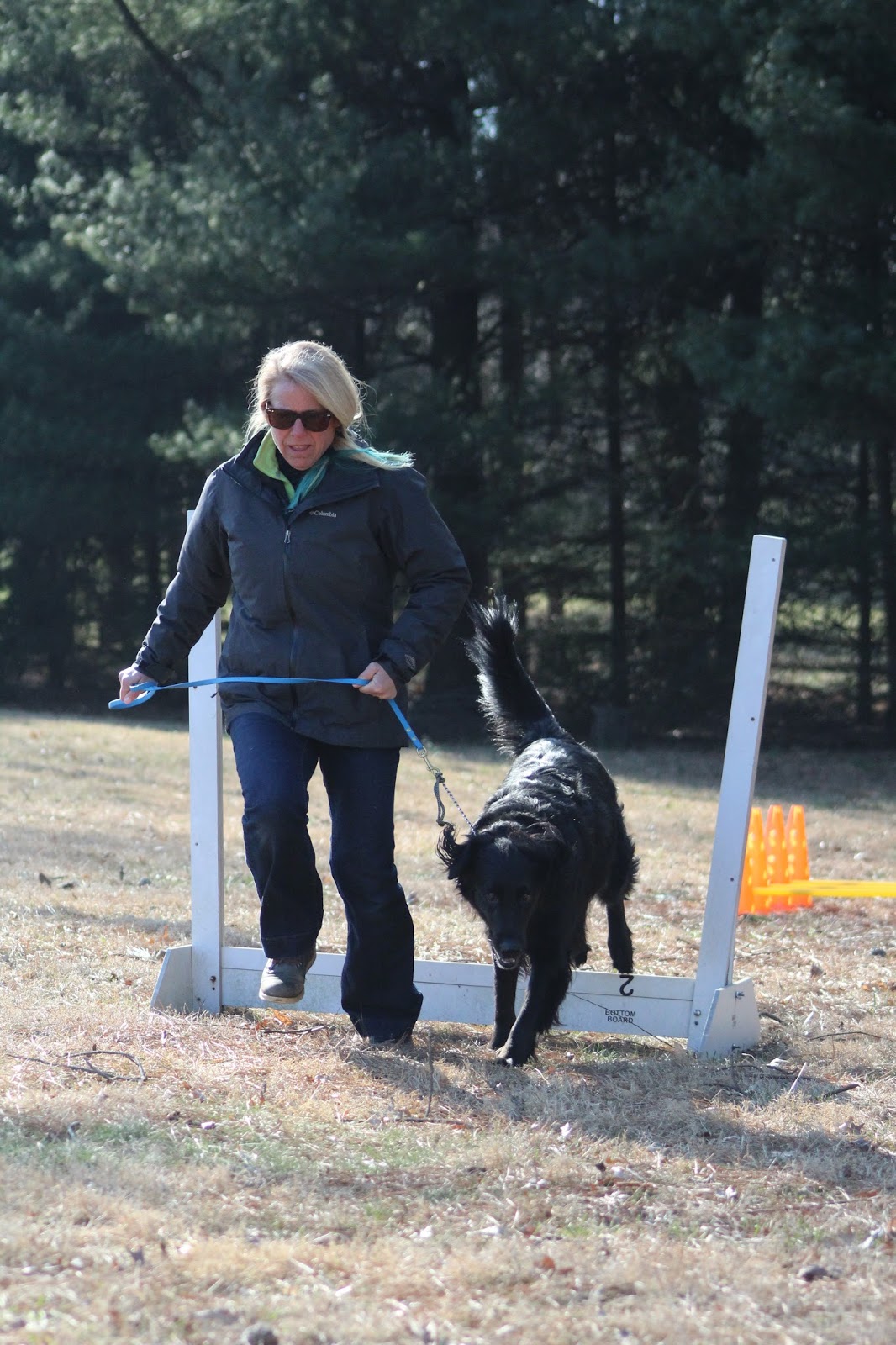 RTP Fall Into Retrieve 2022: Lesson 6: The 'Jump' command