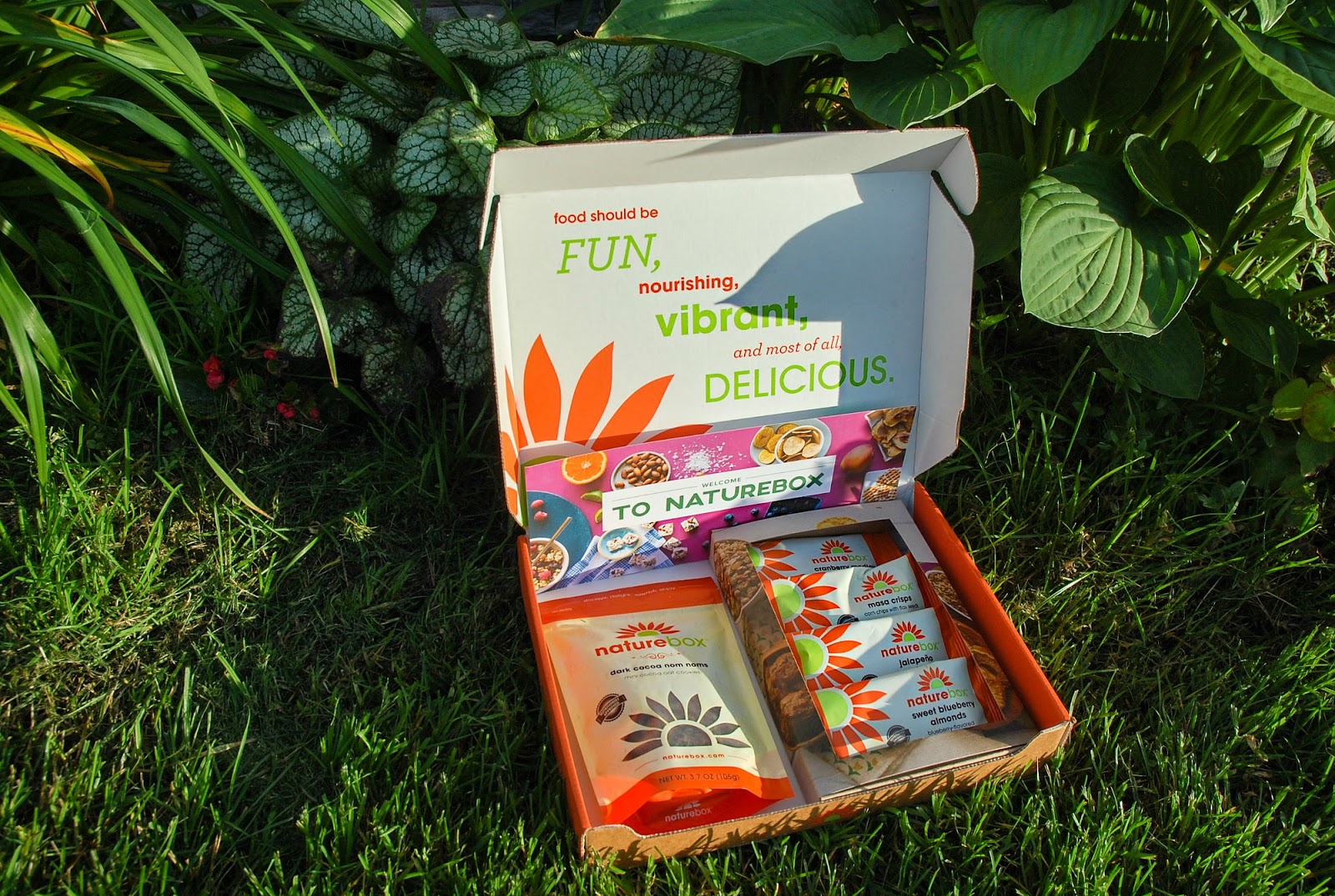 Tiptoeing Through: NatureBox - Snacking Made Easy