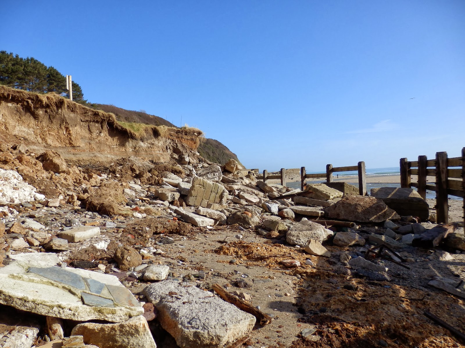 67 Not Out: The Mysterious Shell Creatures On Cornish Beach