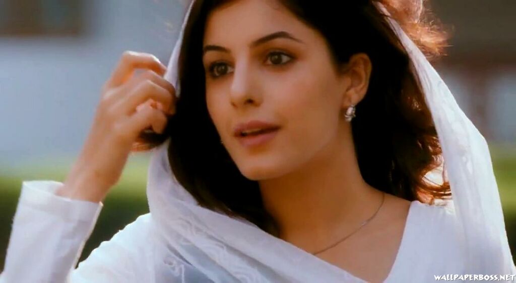 Diary of a Movie Aficionado...: Review: Thattathin Marayathu