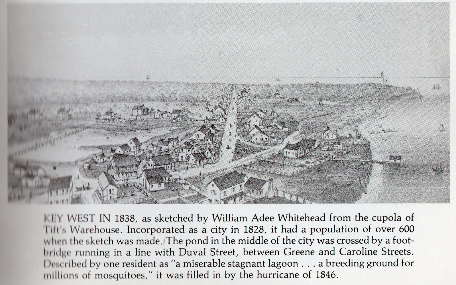 Origins, Stemma, Descent: A Search: Untangling the Russell Knots ...