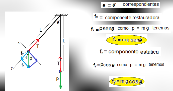 FÍSICA GRADO 11 : 2.4 ESTUDIO DEL PÉNDULO SIMPLE