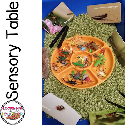 Learning at the Teacher Table: Insects Science Center