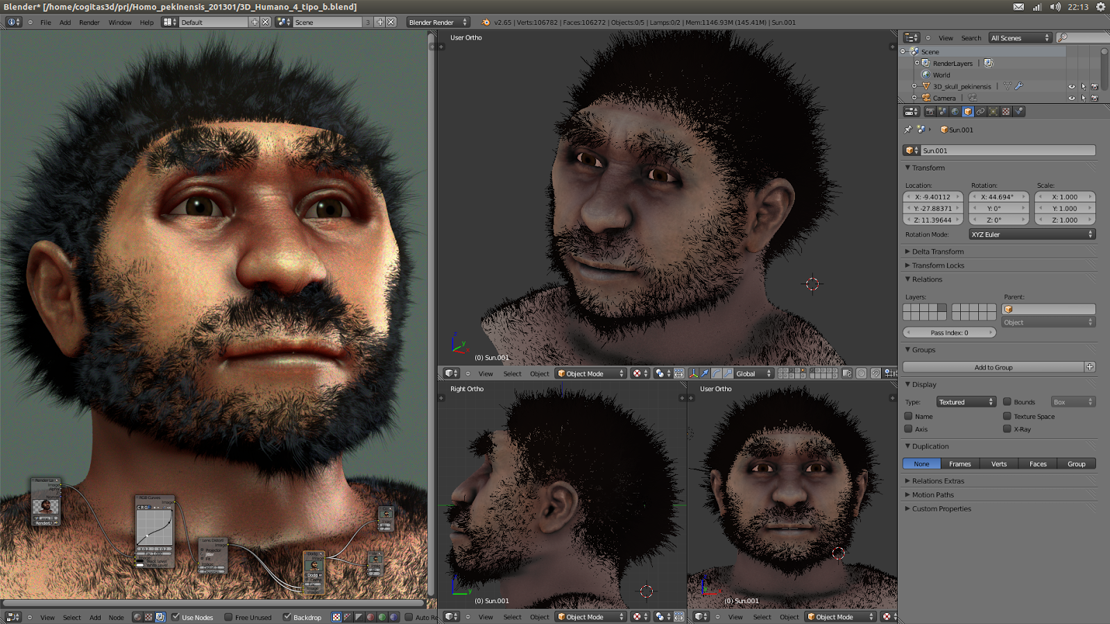 ATOR: Homo erectus pekinensis - Forensic facial reconstruction using a ...