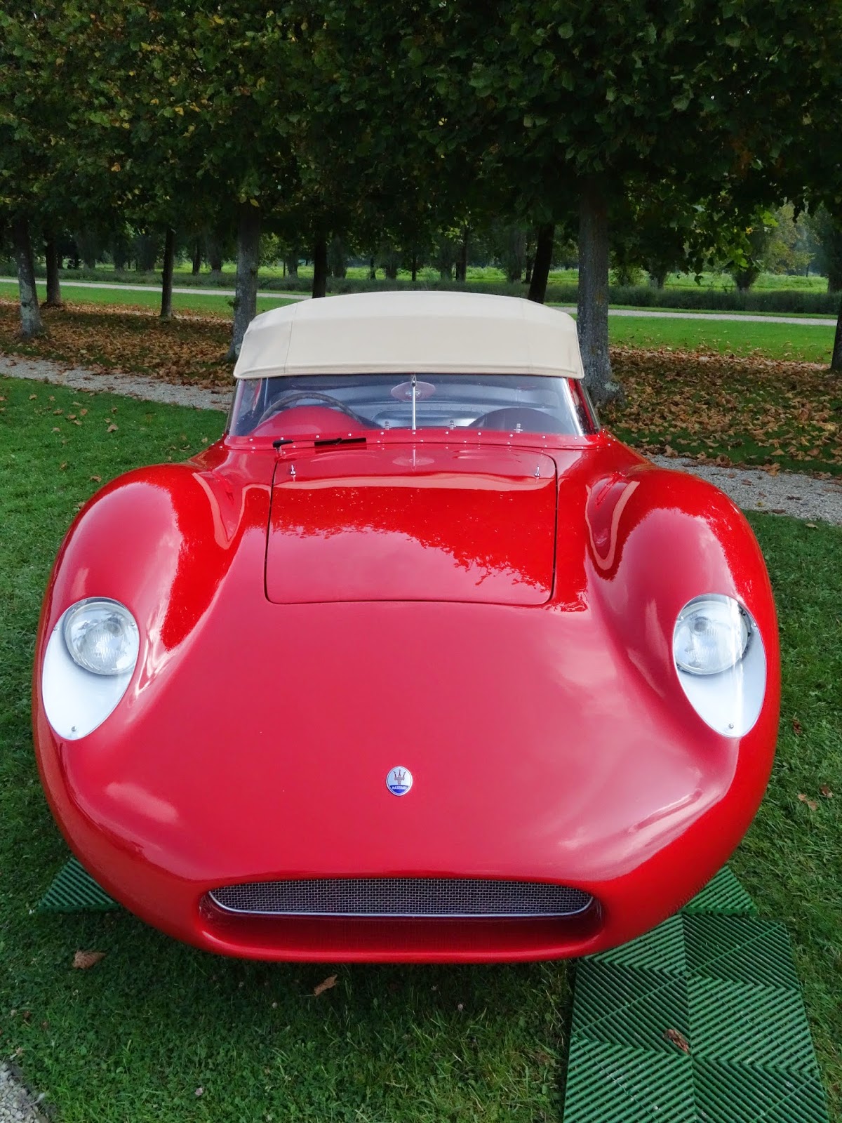 The William Brown Project