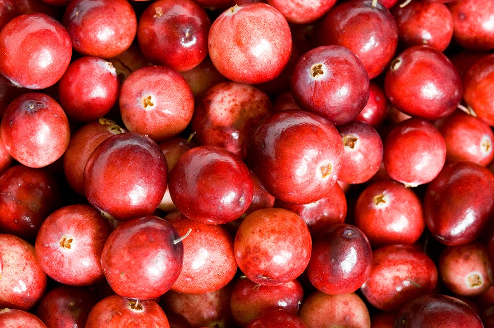 The 3 Foragers: Foraging for Wild, Natural, Organic Food: Wild ...