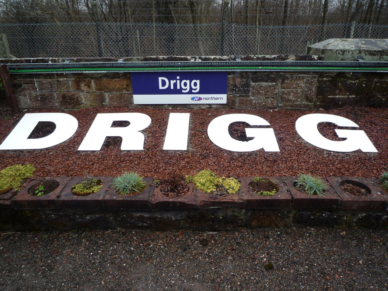 round the rails we go: Day Four: Welcome To My Nuclear Family