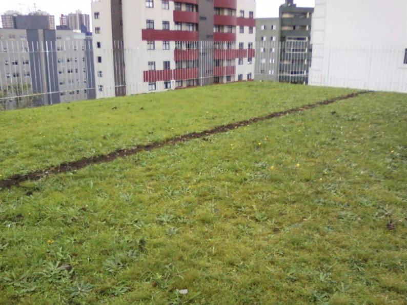 Protótipos de telhados verdes extensivos para a cidade de Curitiba : O ...